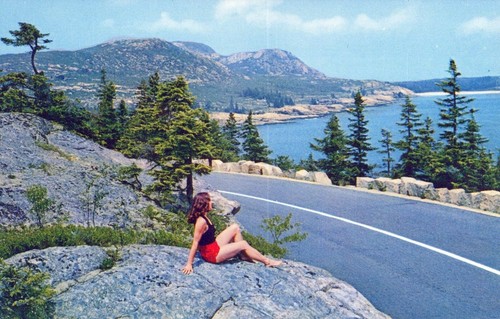 Girl At Ocean Drive From Otter Cliff Mount Desert Island Maine Postcard ...