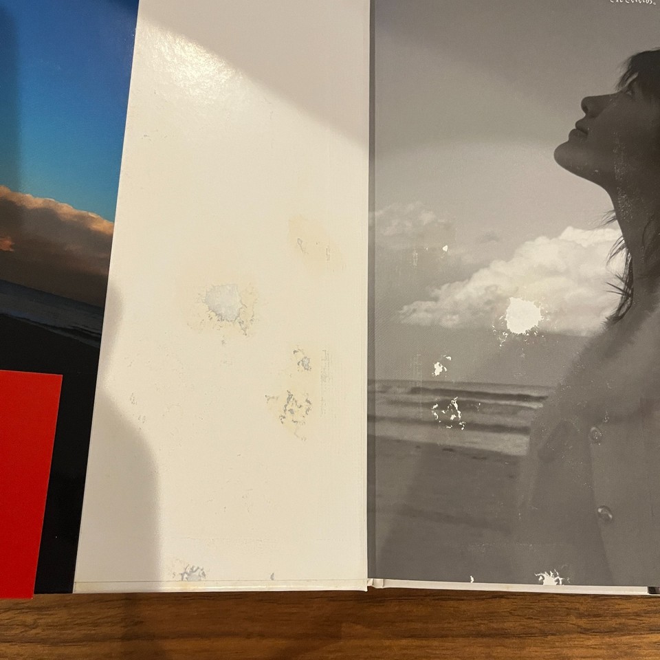Yasu Megumi Japanese Photobook "Like This" | 2002 | Shoji Seko | eBay
