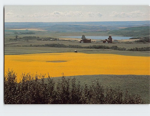 Postcard A Prairie Scene Prongua Saskatchewan Canada | eBay