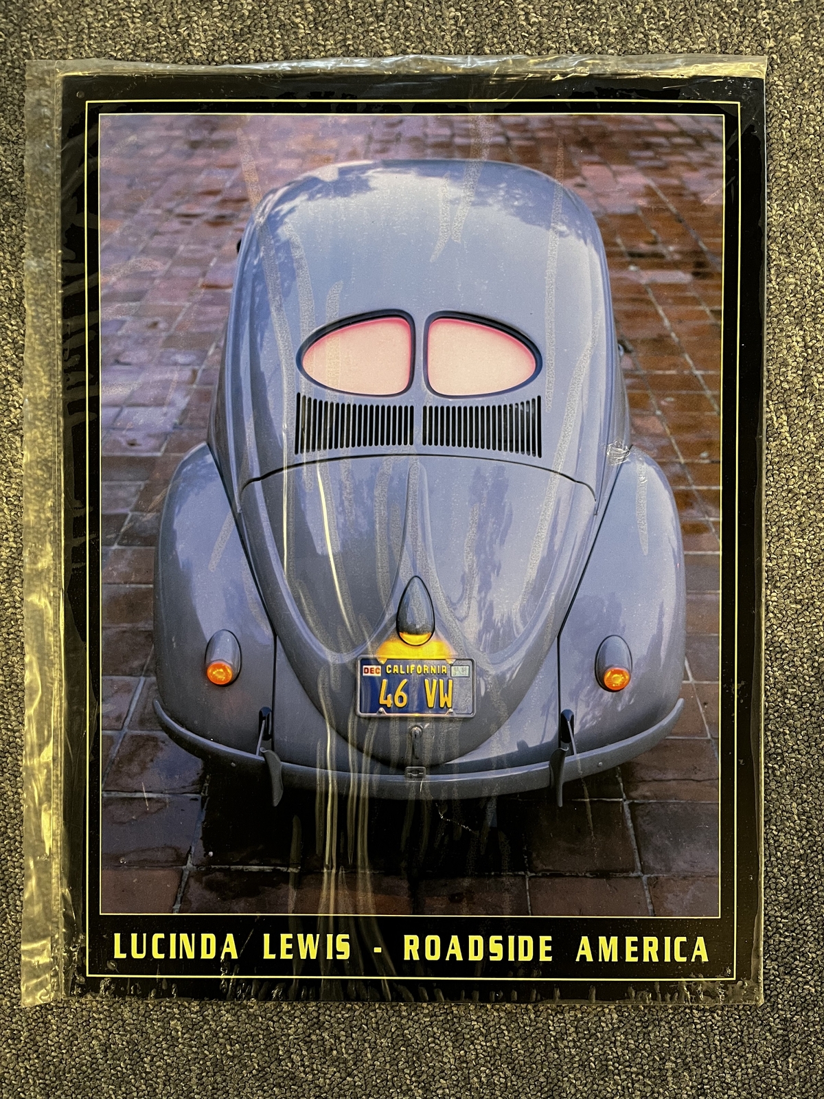 Blechschild Lucinda Lewis Käfer | eBay
