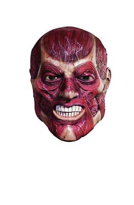 Skinner Mask | eBay