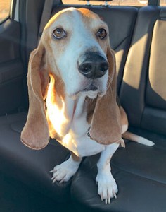 Judge Elihu Smails Store | eBay Stores