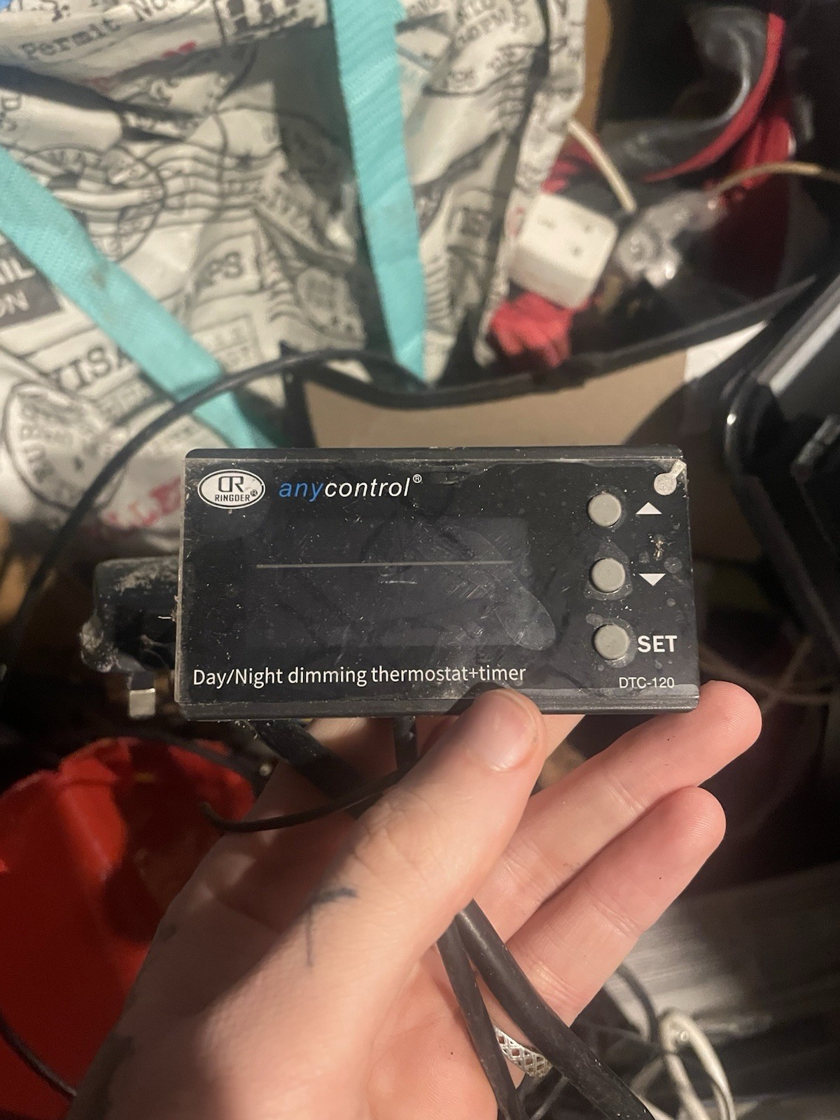 Digital Reptile Thermostat with Day Night Dimming | eBay UK