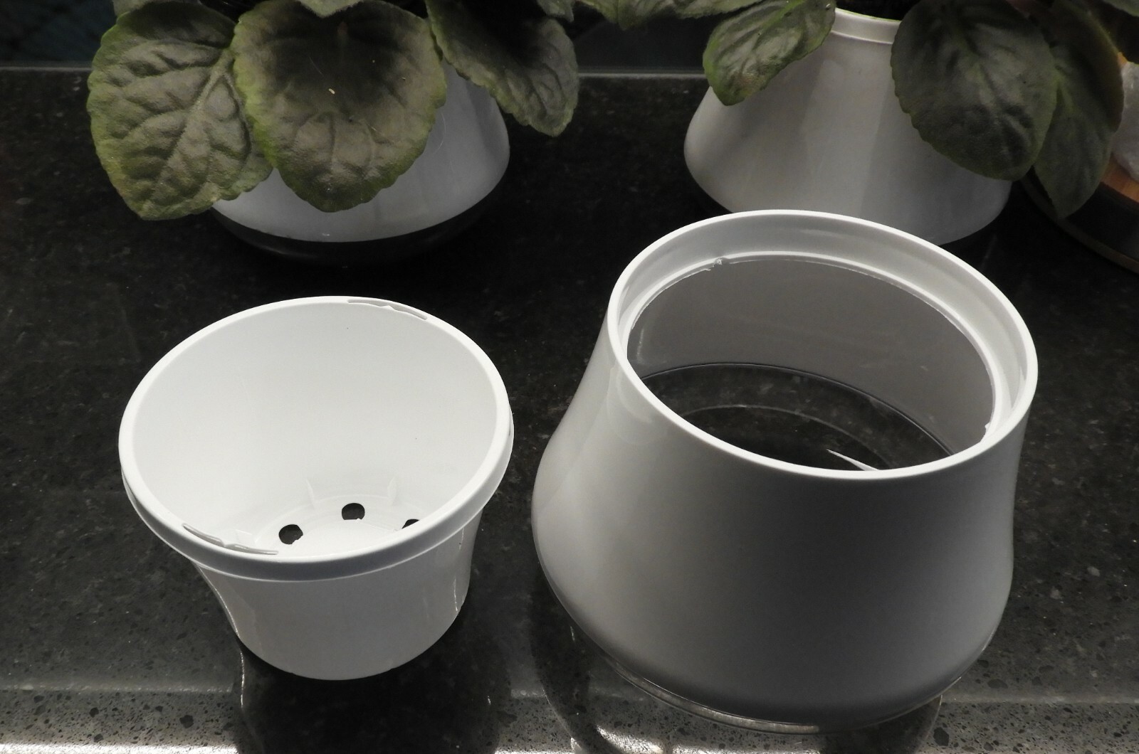 FERN/AFRICAN VIOLET 100mm Capillary pot x 1 unit, the original and the ...