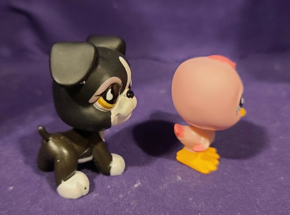 Authentic Littlest Pet Shop LPS 825 826 Sportiest Black Boxer Dog Pink ...