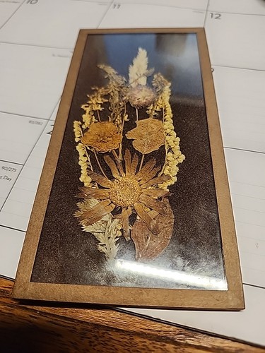 Cepelia-- Polish Botanical Art Framed Pressed Dried Flowers/3 1/4"w X 6 ...