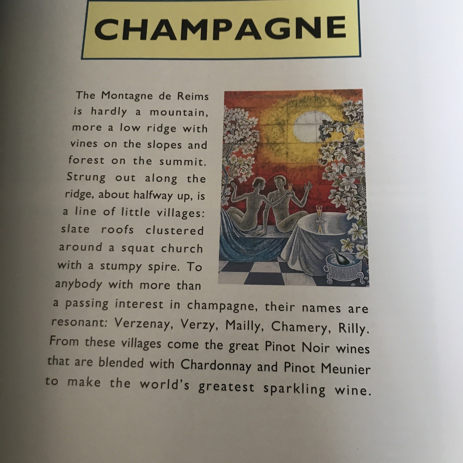 France, A Feast of Food and Wine By Roger Voss, VGC A Must For French ...