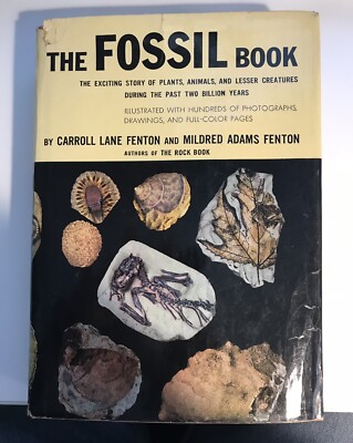 The Fossil Book | eBay