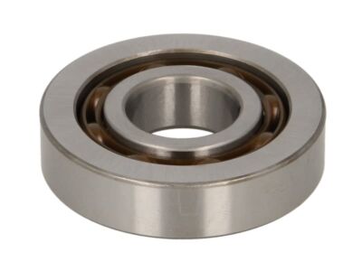 Crankshaft bearing RMS RMS 10 020 0290 | eBay Australia
