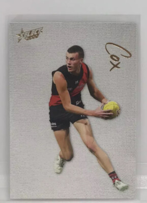 Nik Cox 2022 Select Footy Stars Blank Canvas 246/250 | eBay Australia
