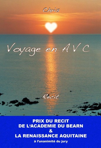 Travel In AVC [Paperback] Chris | eBay