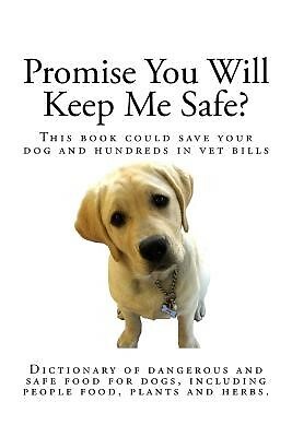 Promise You Will Keep Me Safe?: Dictionary of dangerous and safe by Yap ...