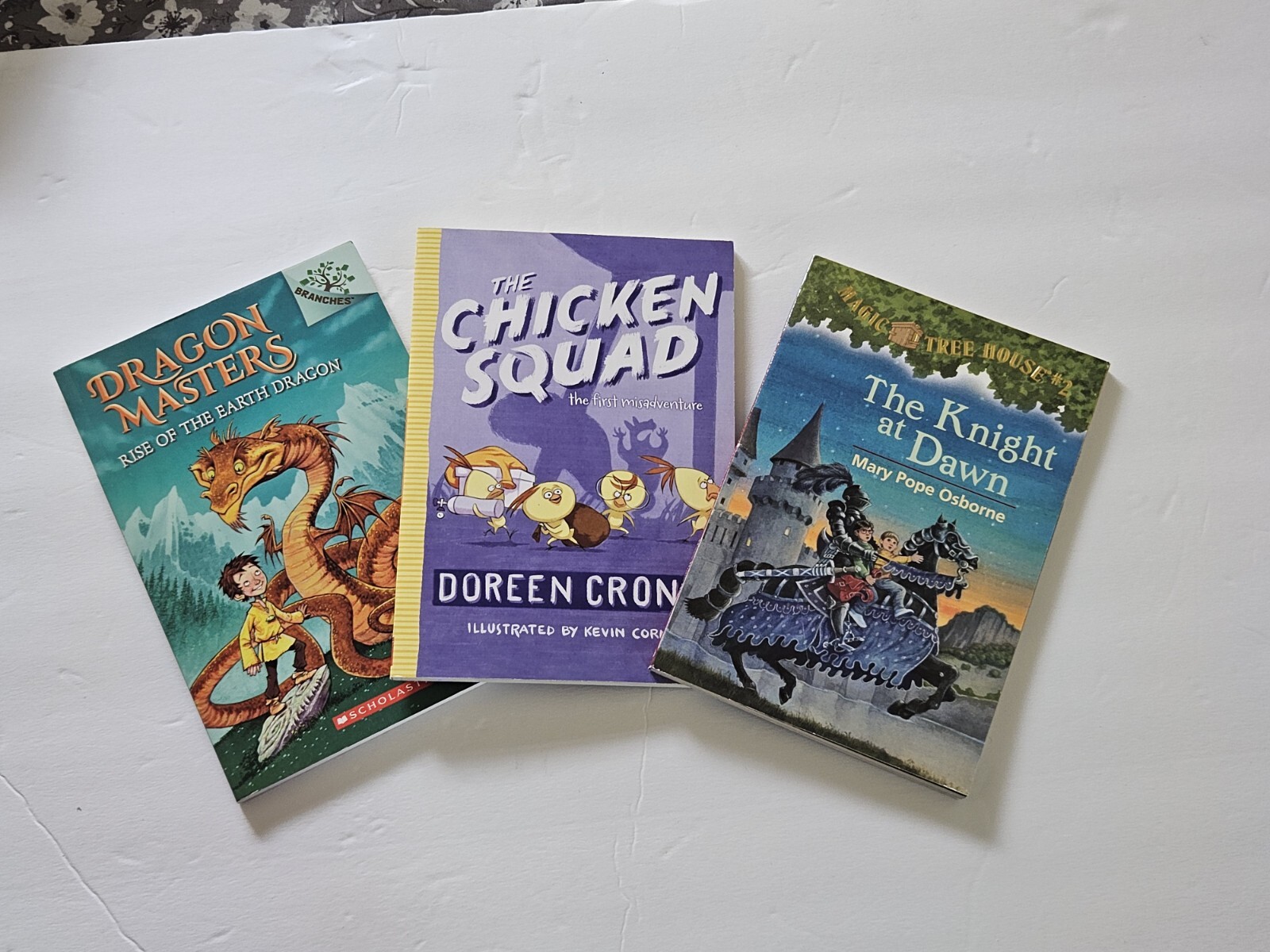 Early Readers Children's Chapter Books Bundle The Magic Tree House ...