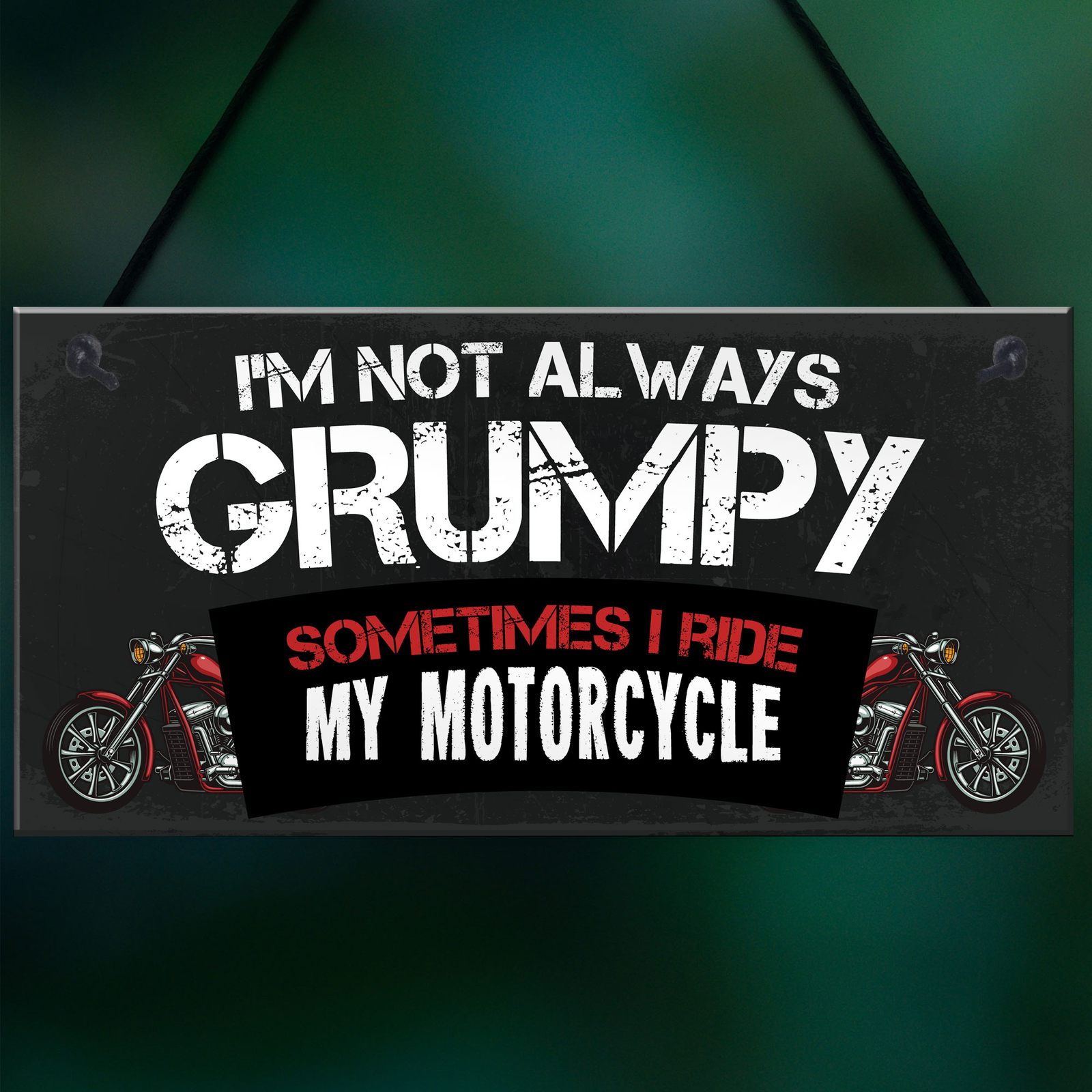 Funny Motorbike Plaque For Bikers Gift For Biker Enthusiast Motorcycle ...