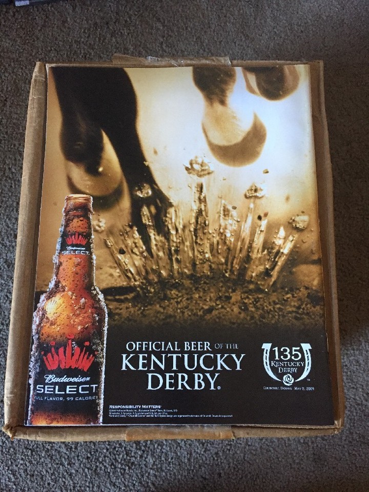 2009 KENTUCKY DERBY OFFICIAL PROGRAM MINT FROM CASE MINE THAT BIRD ...