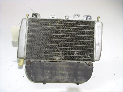 Radiateur eau PIAGGIO VESPA 125 2006-2007 GRANTURISMO | eBay