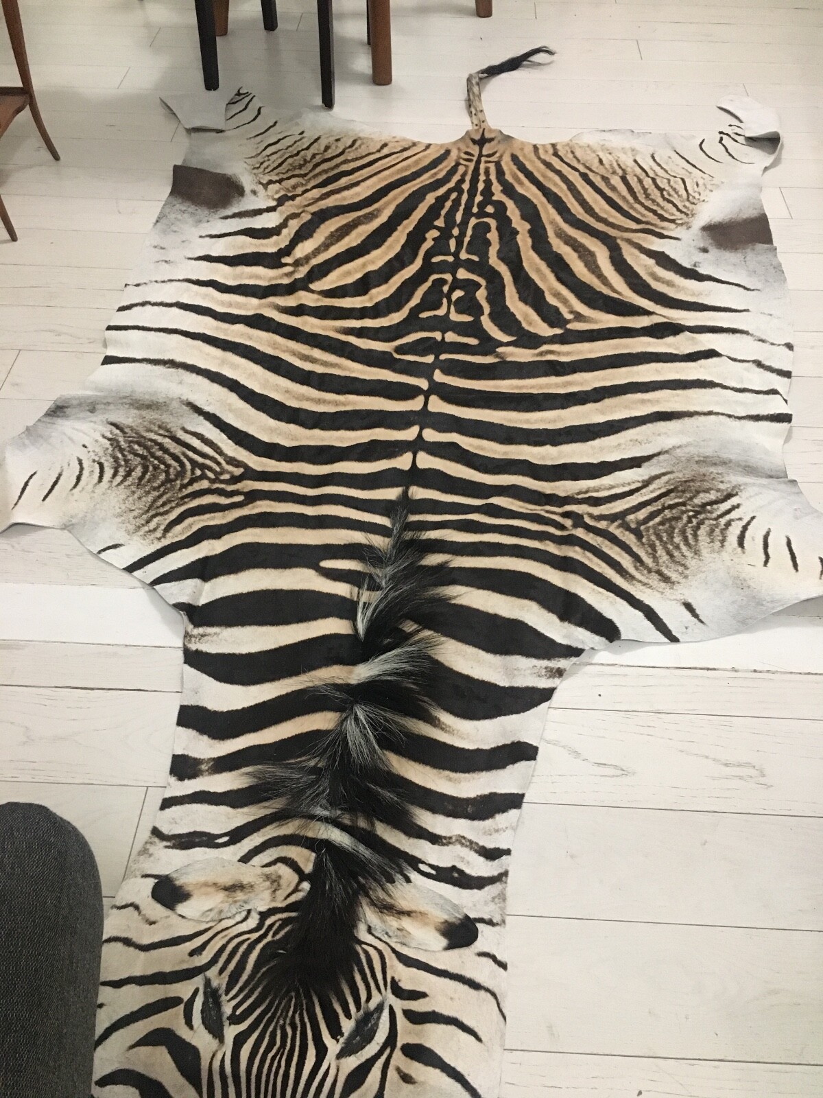 African zebra skin hide rug | eBay