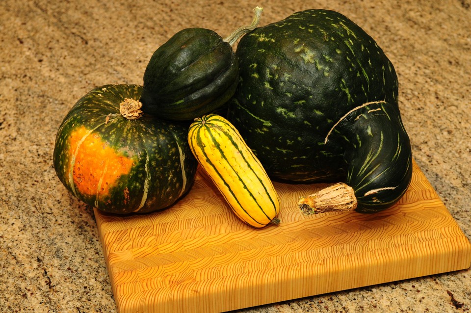 Squash Seed: Winter Squash Mixture Fresh Seed | eBay