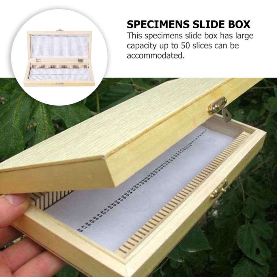 Microscope Slides Storage Box Wooden Slice Specimen Collection Case | eBay