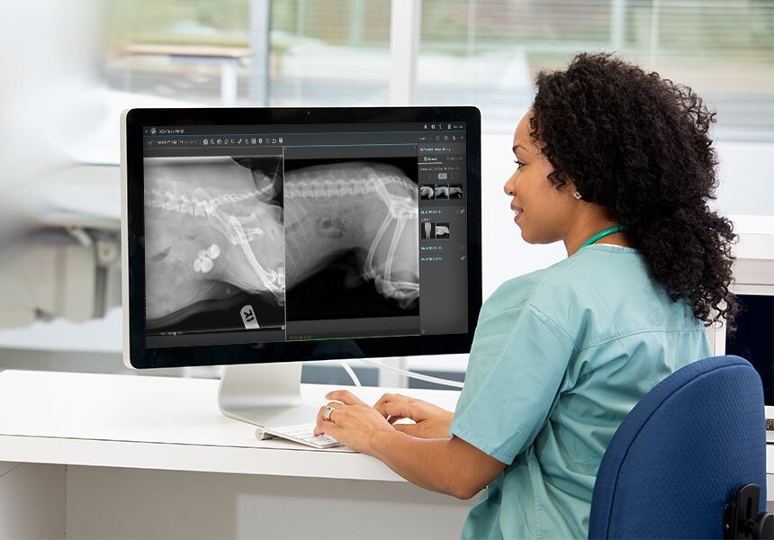 cr IDEXX I-Vision CR™ Digital Imaging veterinary x-ray cr reader | eBay