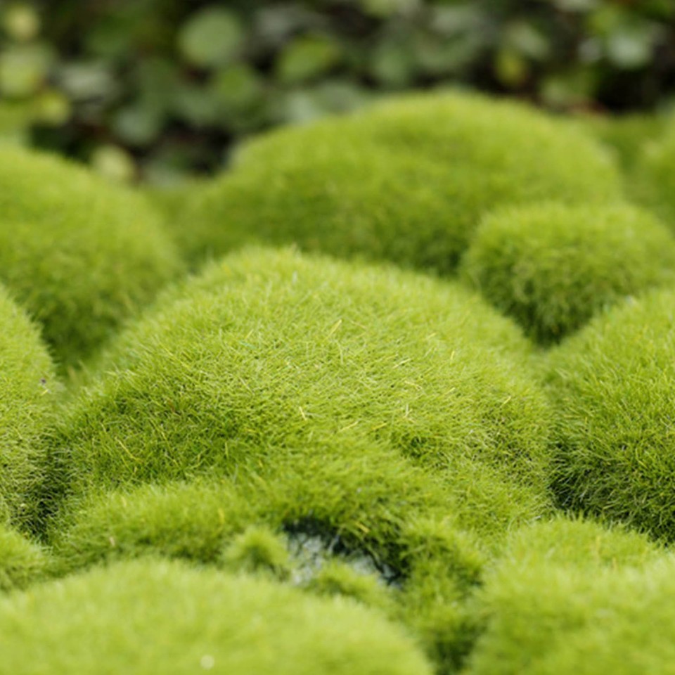 Artificial Moss Stone Wall Panels Grass Hedge Garden Fake Moss Mat ...