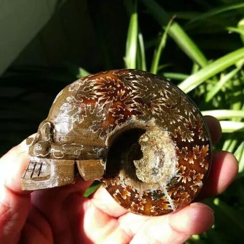 207g Natural Pretty Ammonites Human skull Quartz Crystal Carving Palm ...