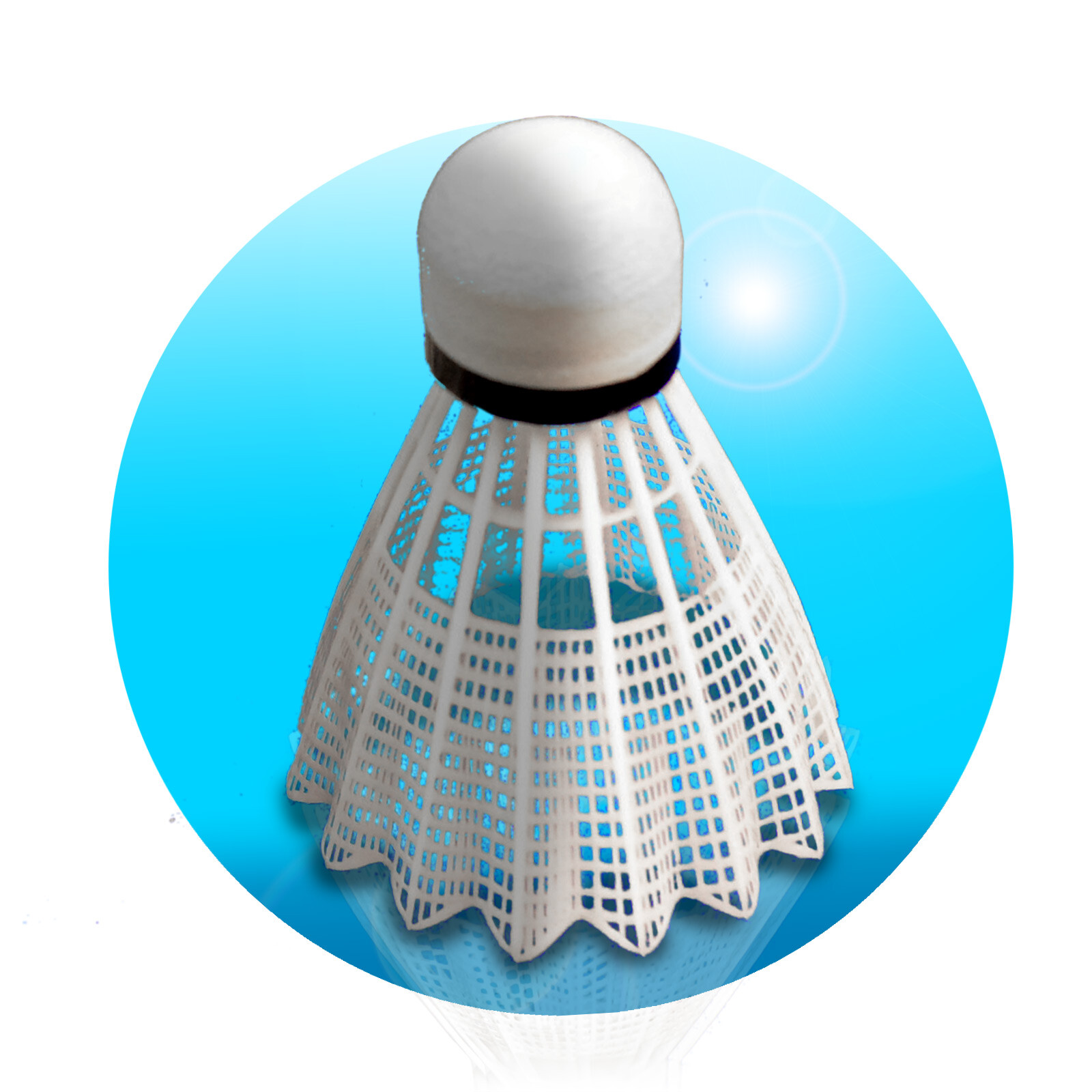 5-25 Stück Federbälle Badmintonball Badmintonbälle Federball Badminton ...