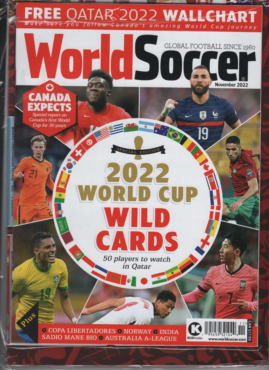 Fifa World Cup 2022 Wall Chart
