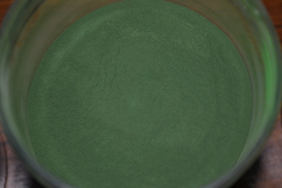 PRO TEC POWDER PAINT 3OZ JAR JIG PAINT U PICK LURE PAINT PROTEC POWDER ...