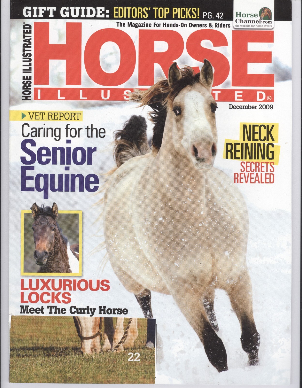 2009 Horse Illustrated Magazine: Curly Horse/Neck Reining/Longeing ...