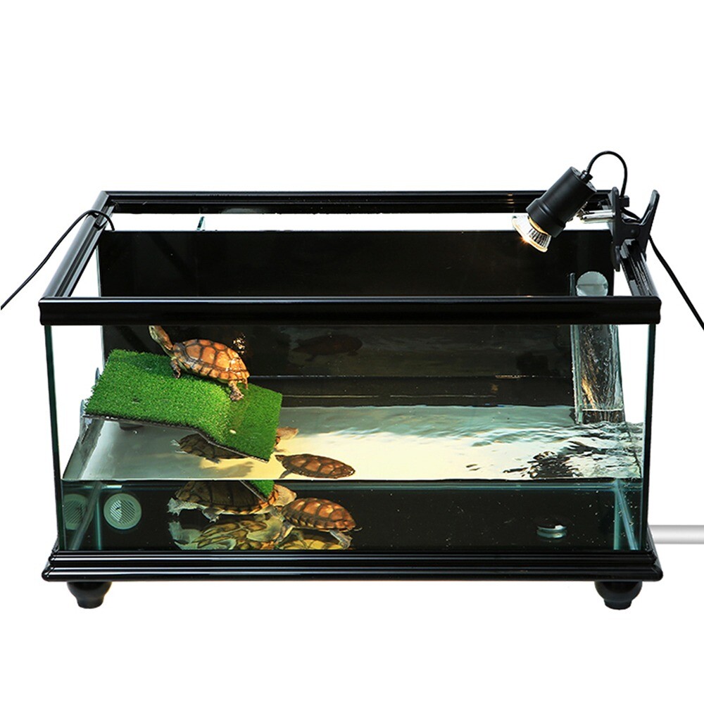 Gallon Turtle Tank