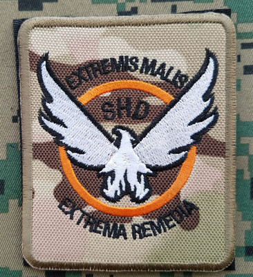 THE DIVISION SHD U.S. ARMY BADGE EMBROIDERED PATCHES HOOK LOOP PATCH ...