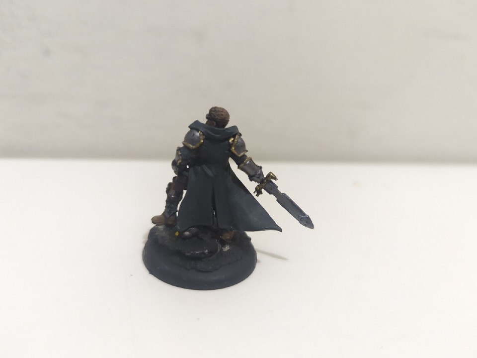 PRIVATEER PRESS IRON KINGDOMS PIP 81004 RUTGER SHAW Painted Mercenaries ...