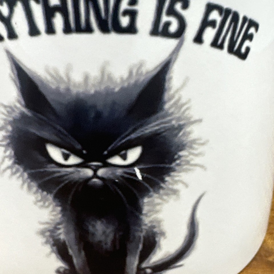 Grumpy Black Cat "It's Fine, I'm Fine, Everything is Fine" Novelty ...