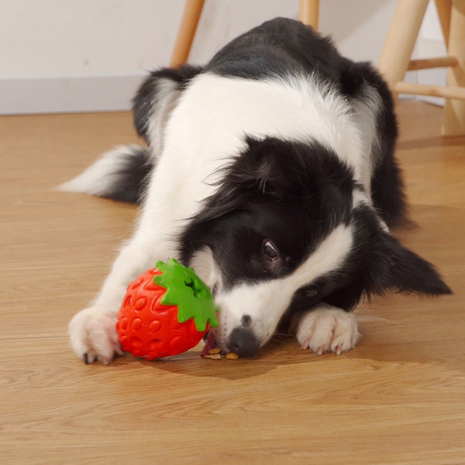 Interactive Pet Dog Chew Bite Strawberry Toy Molar Toy for Teeth ...