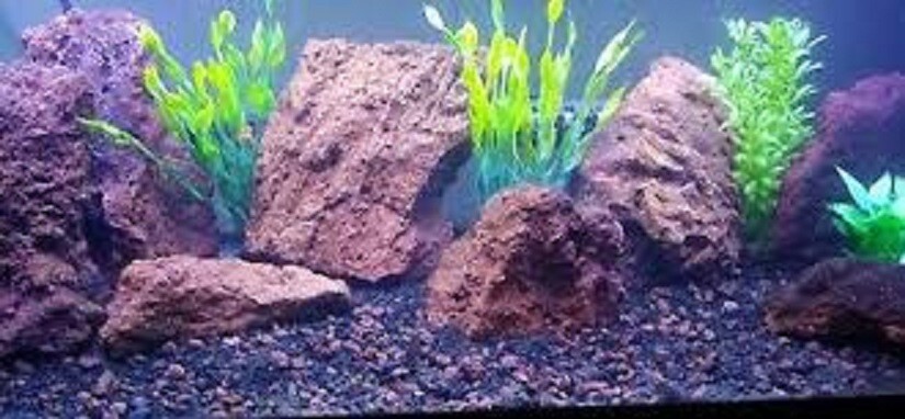 8 liters Red Lava Rock 1/2"- 2" Aquarium Plant Substrate Fish Tank ...