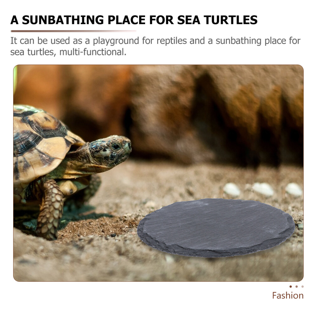 2 Pcs Reptile Tortoise Slate Rock Resting Platform Plate Bearded Dragon ...