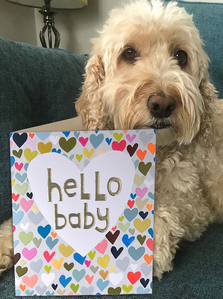 Paper Salad Cute Hello Baby Card Pretty Bright Neon Hearts For Boy Girl ...