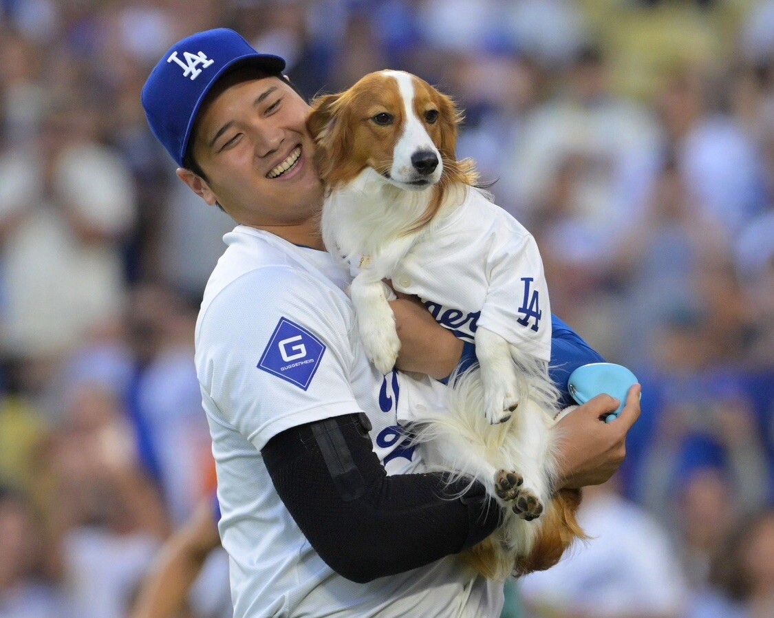 8x10 Photo SHOHEI OHTANI & DECOY Los Angeles Dodgers MVP Dog Dutch ...