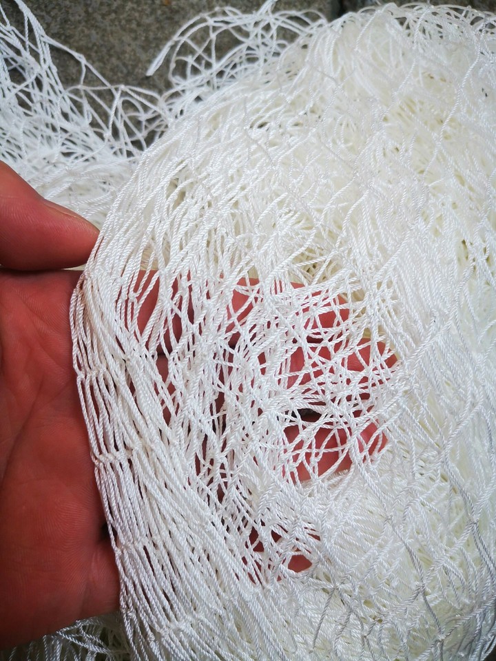 White Nylon Netting Nylon Fishing Net Mesh Anti Bird Netting Garden ...
