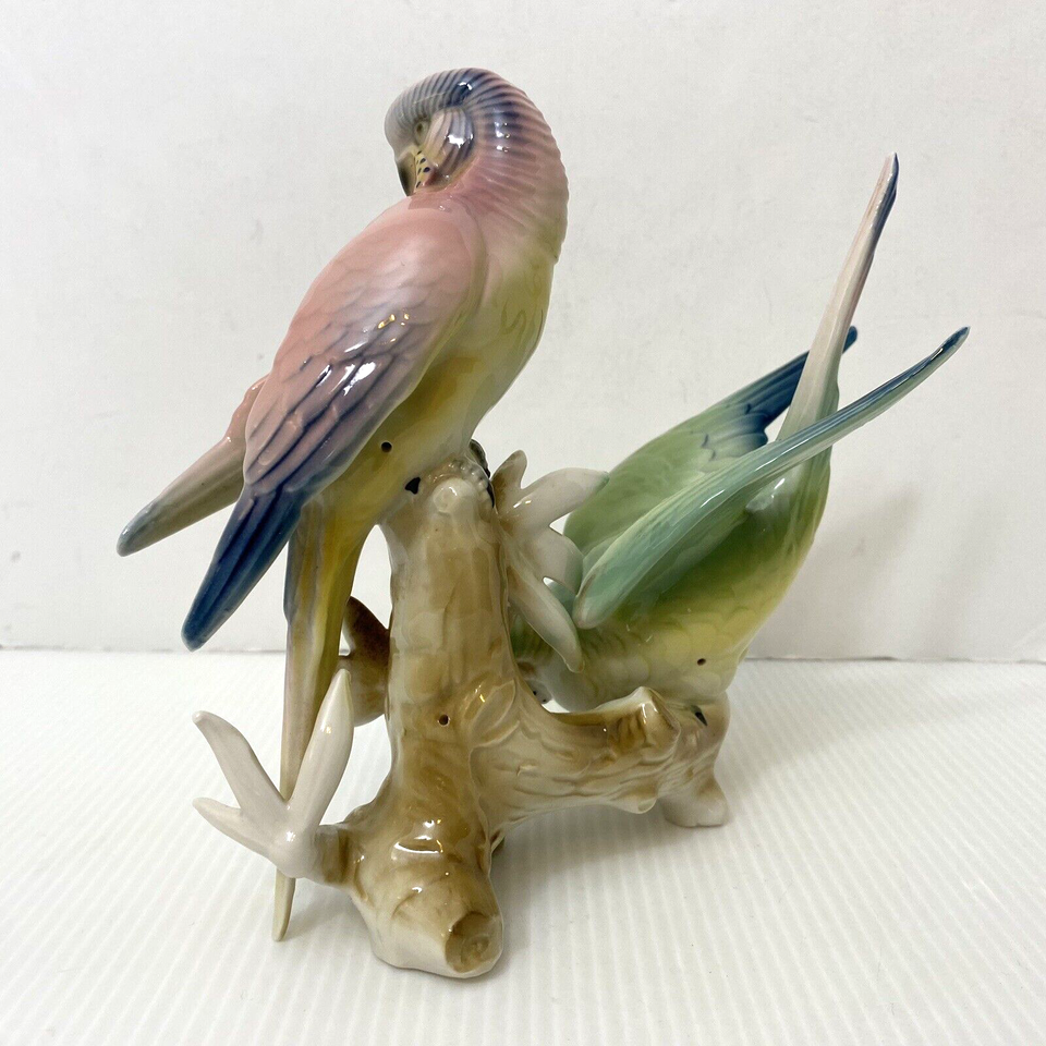 Wilhelm Rittirsch Dresden Porcelain Parakeet Parrot Bird Figurine Not ...