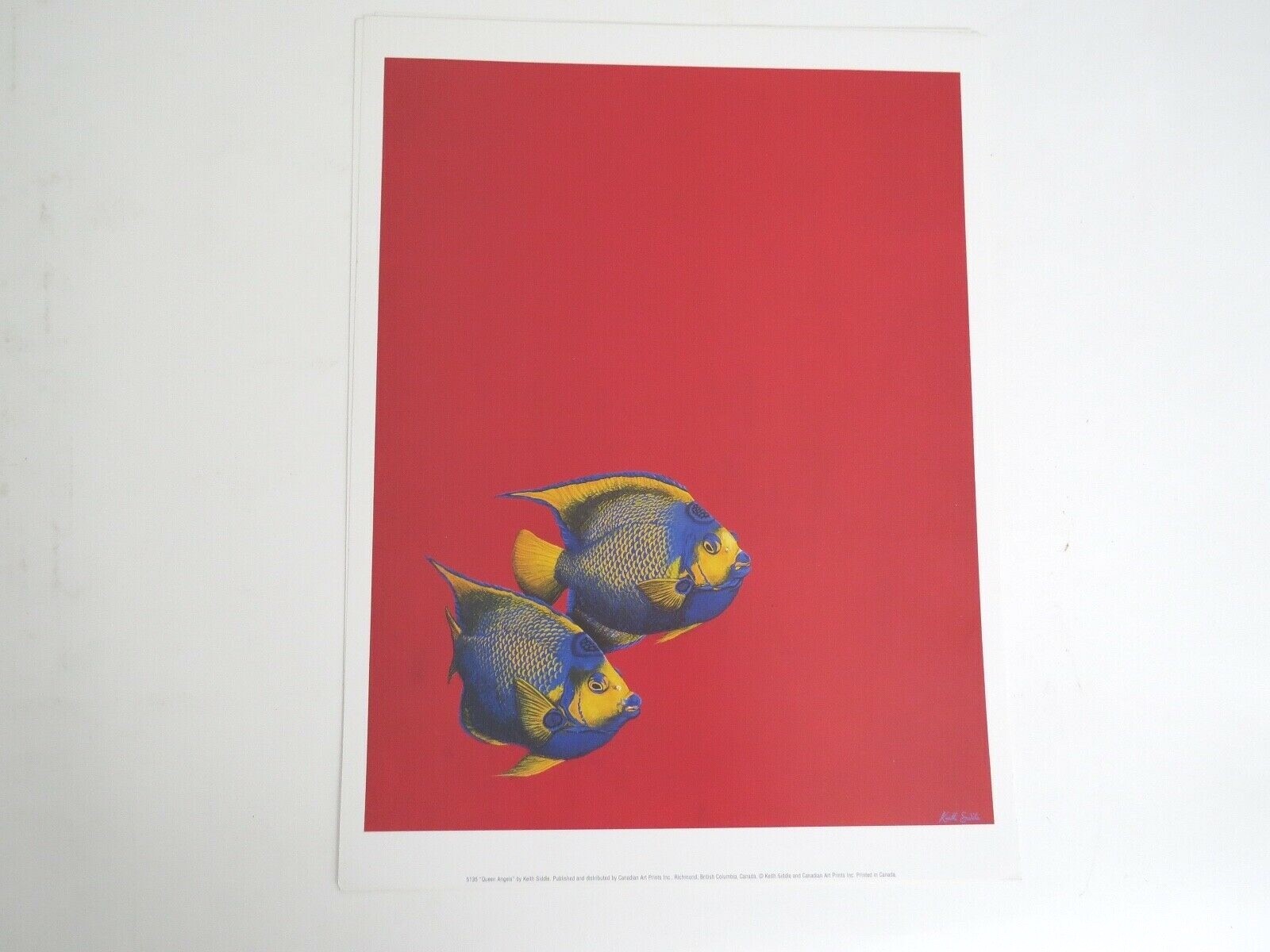 16 x 12 print lithograph Keith Siddle Tropical Fish ocean reef tank Art ...