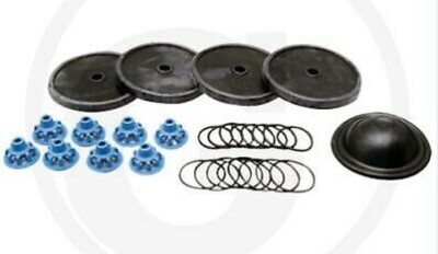 Kit Repair for Pump Membrane Aps 145 Annovi 6705026018000 | eBay Australia