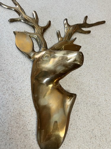 Brass Deer Head 18” Wall Mount 12 Point | eBay