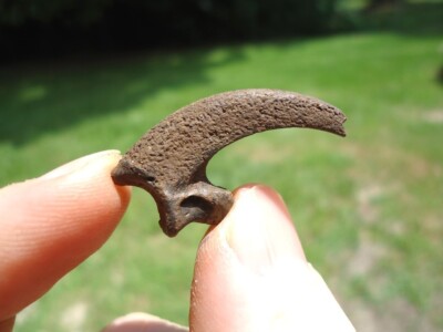 RARE BALD EAGLE CLAW CORE FLORIDA FOSSIL ICE AGE EXTINCT AVIAN BIRD ...