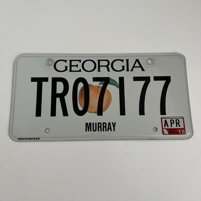 2018 Georgia License Plate #TR07177 Murray County | eBay