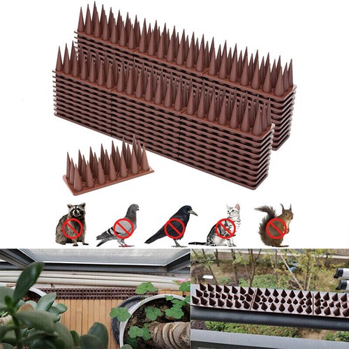 Bird Spikes Deterrent Anti Human Cat Possum Spiked Wall Fence Mouse ...