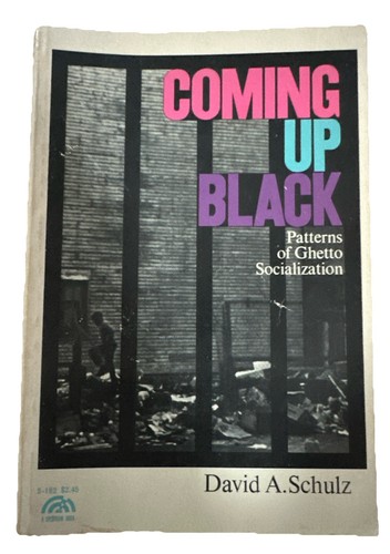 David Schulz COMING UP BLACK Patterns of Ghetto Socialization First ...