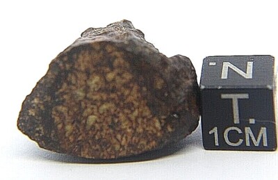 Ureilite meteorite NWA 14967 Primitive achondrite meteorite, 13.1 grams ...