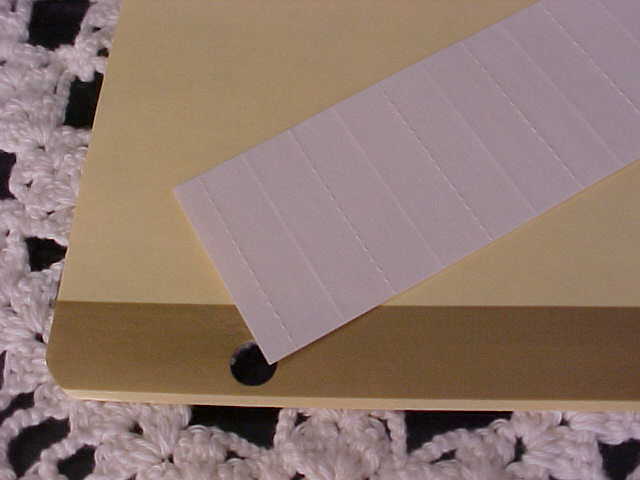 Wilson Jones 54131 Gold Pro Insertable Tab Index Clear 8-tab Letter ...